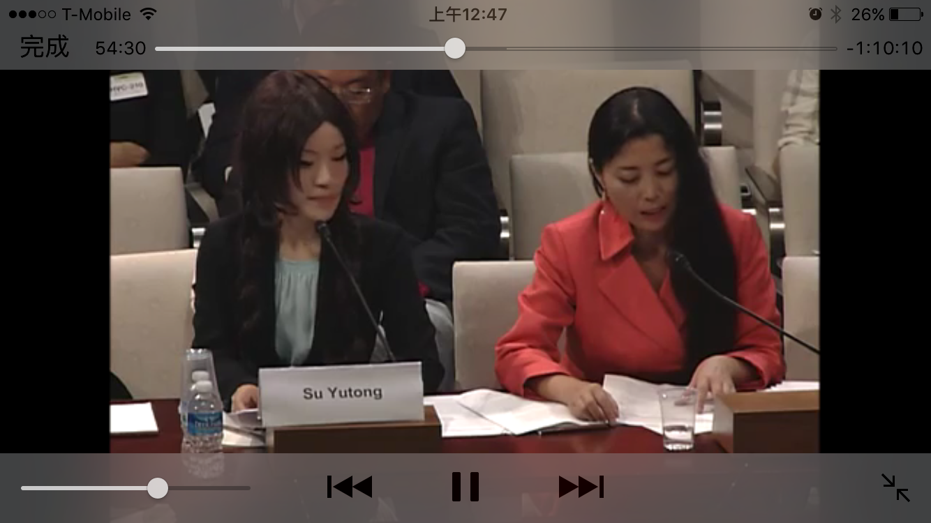 Testimony of Su Yutong Before the Congressional-Executive Commission on ...